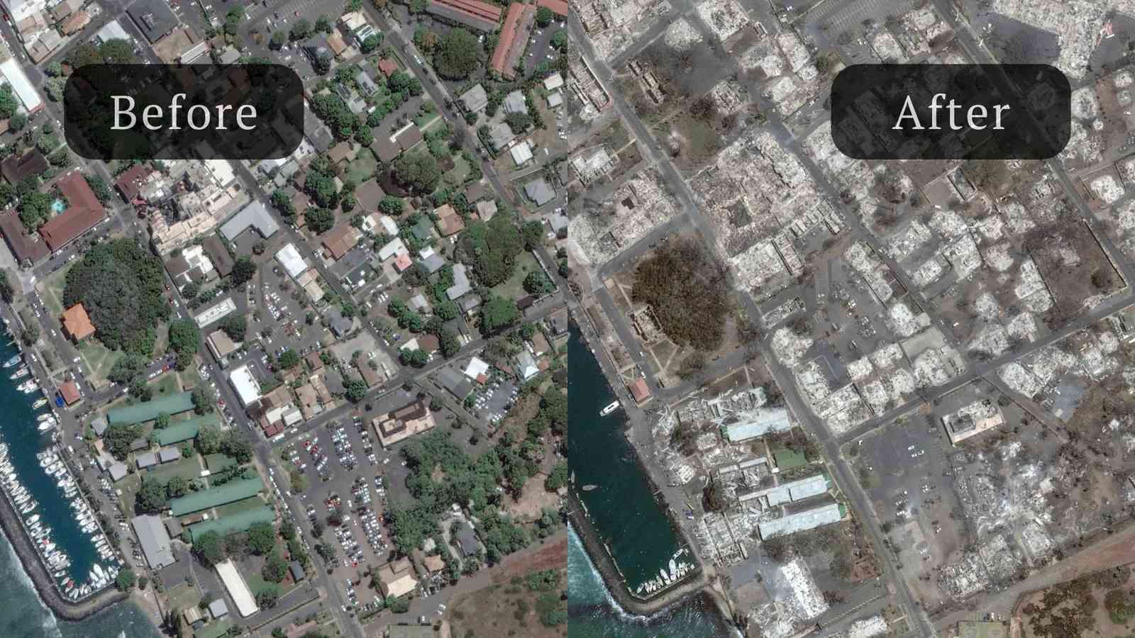 Maui Fire: Deadly Wildfires Devastate Hawaii’s Maui Island - Tech Binate